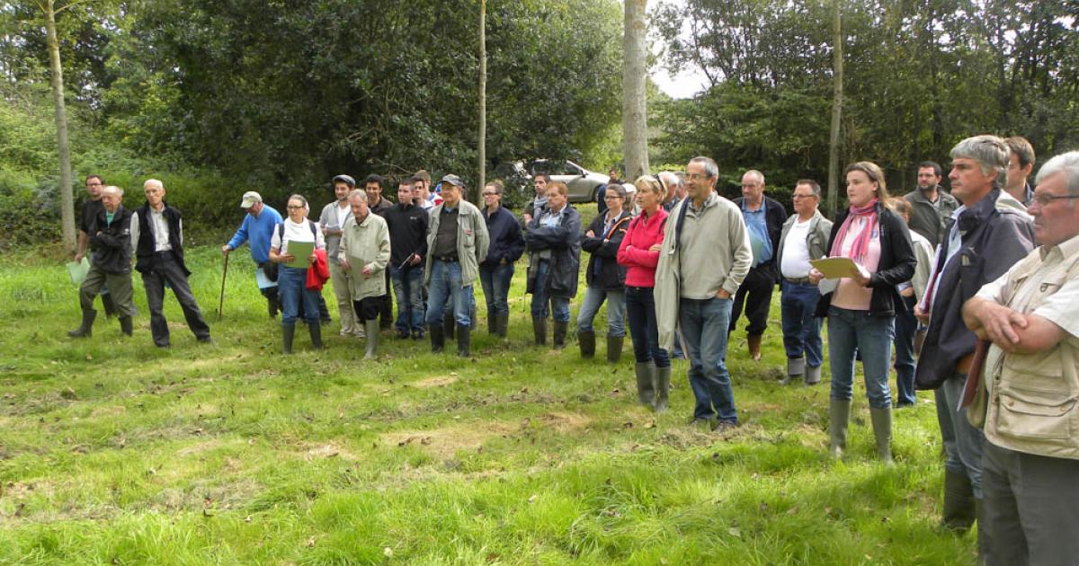 Les réunions forestières 2026