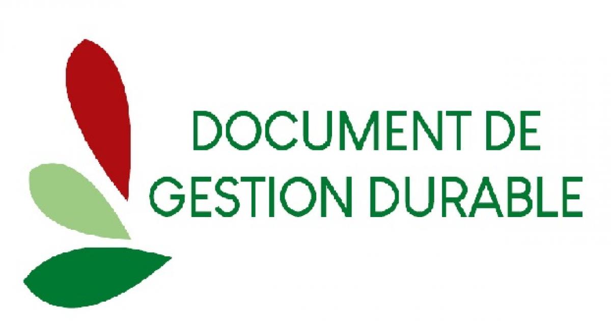 Plan Simple de Gestion-Mode d'emploi